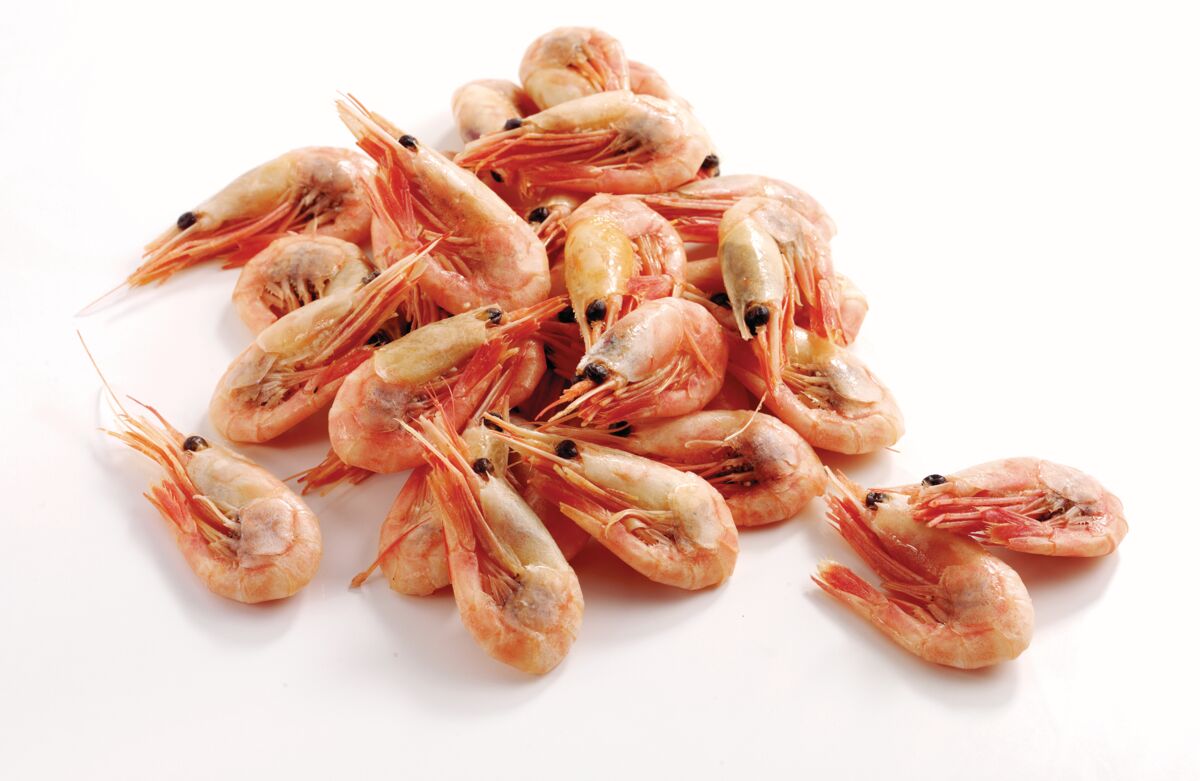 Learner journey resources for fishmonger apprentices month four ...