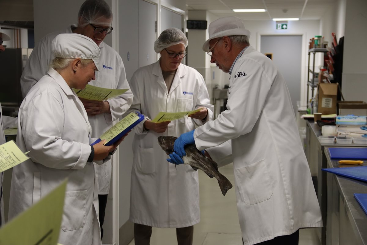 Onshore training course terms and conditions - Seafish Training