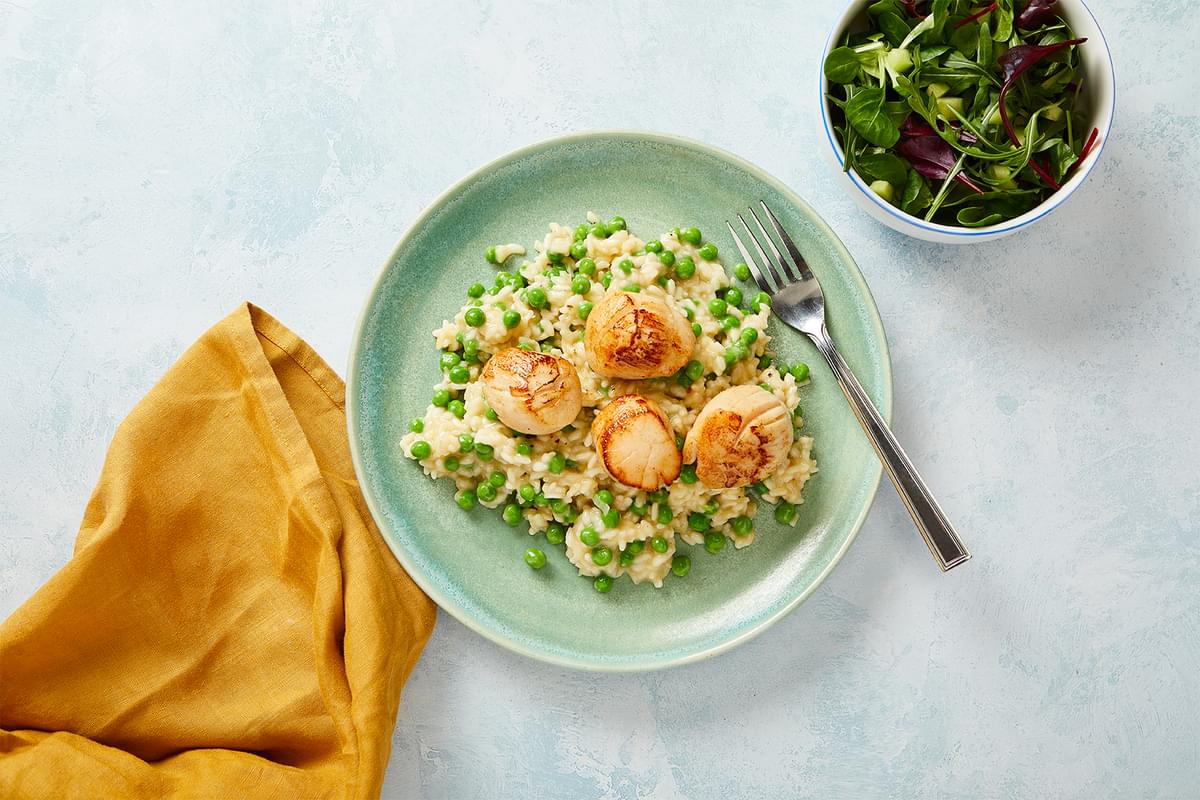 scallop chef resources - Seafish Training